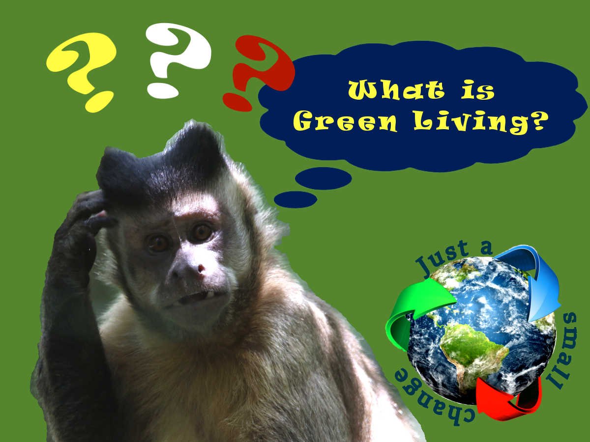 Your Ultimate Green Living Guide For Small Changes